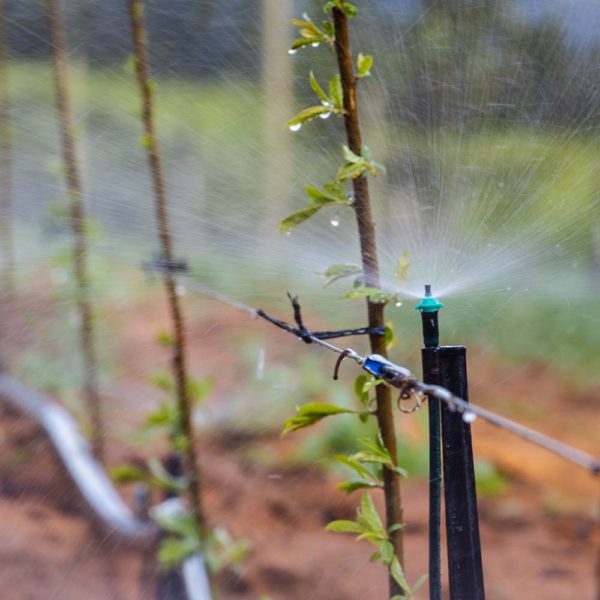 Irrigation Supplies & Components | Agrico