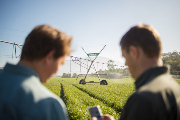 Irrigation training is a cornerstone of our industry | Agrico