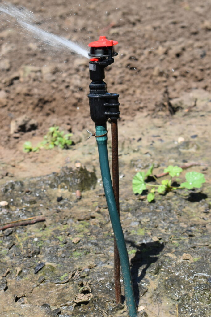 Agrico macro-irrigation improves water management for pecan nuts | Agrico